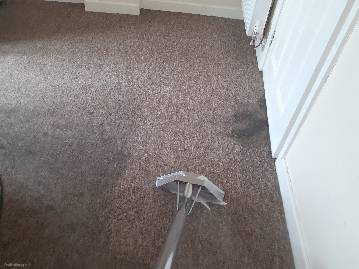 Extremely dirty carpet - CarpetProCleaning Wirral